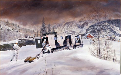 'Independent Field Troop AMF (L), Royal Engineers, 1973-1995' by David ...